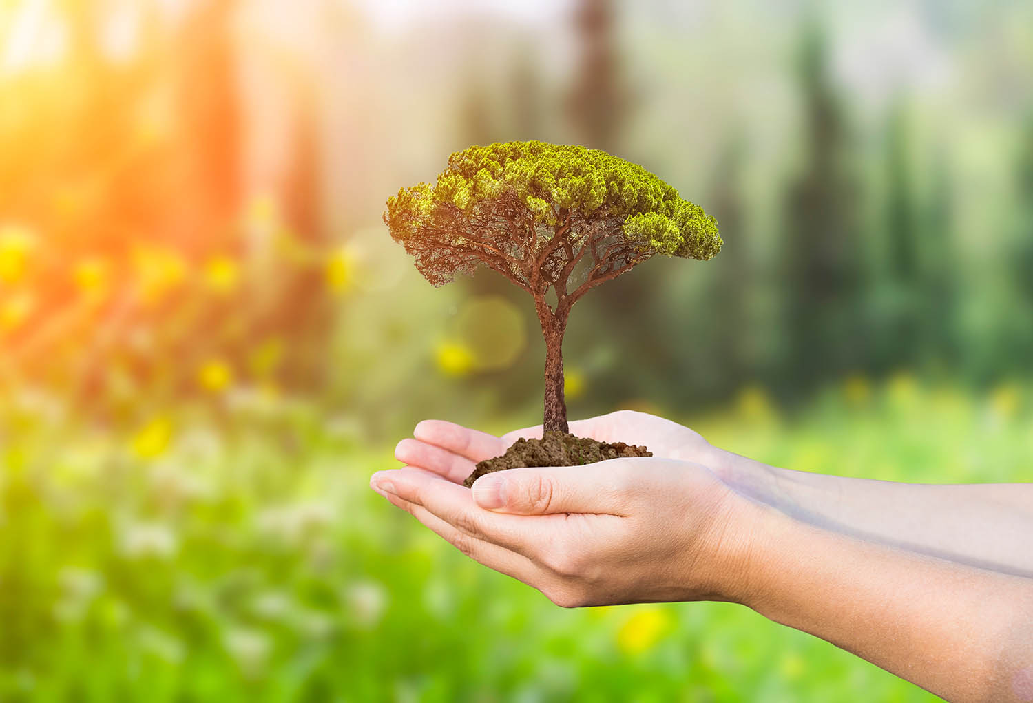 Environment Policy - The Encore Group